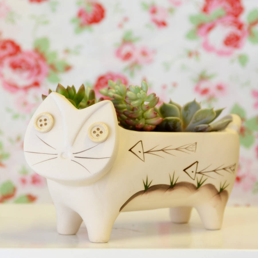 cat shaped planter by dingading terrariums | notonthehighstreet.com