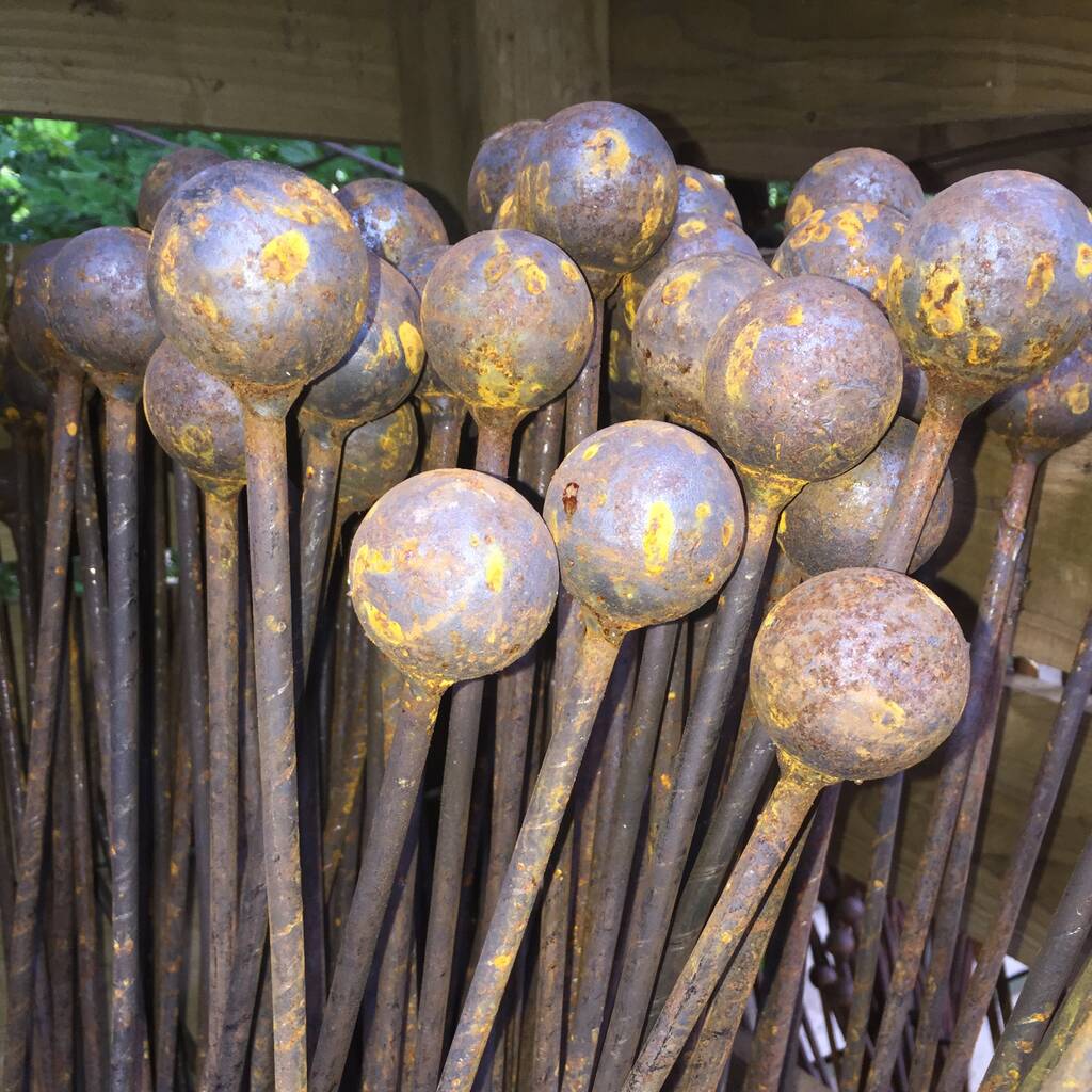 8mm slimline ball topped stakes by muntons traditional plant supports ...