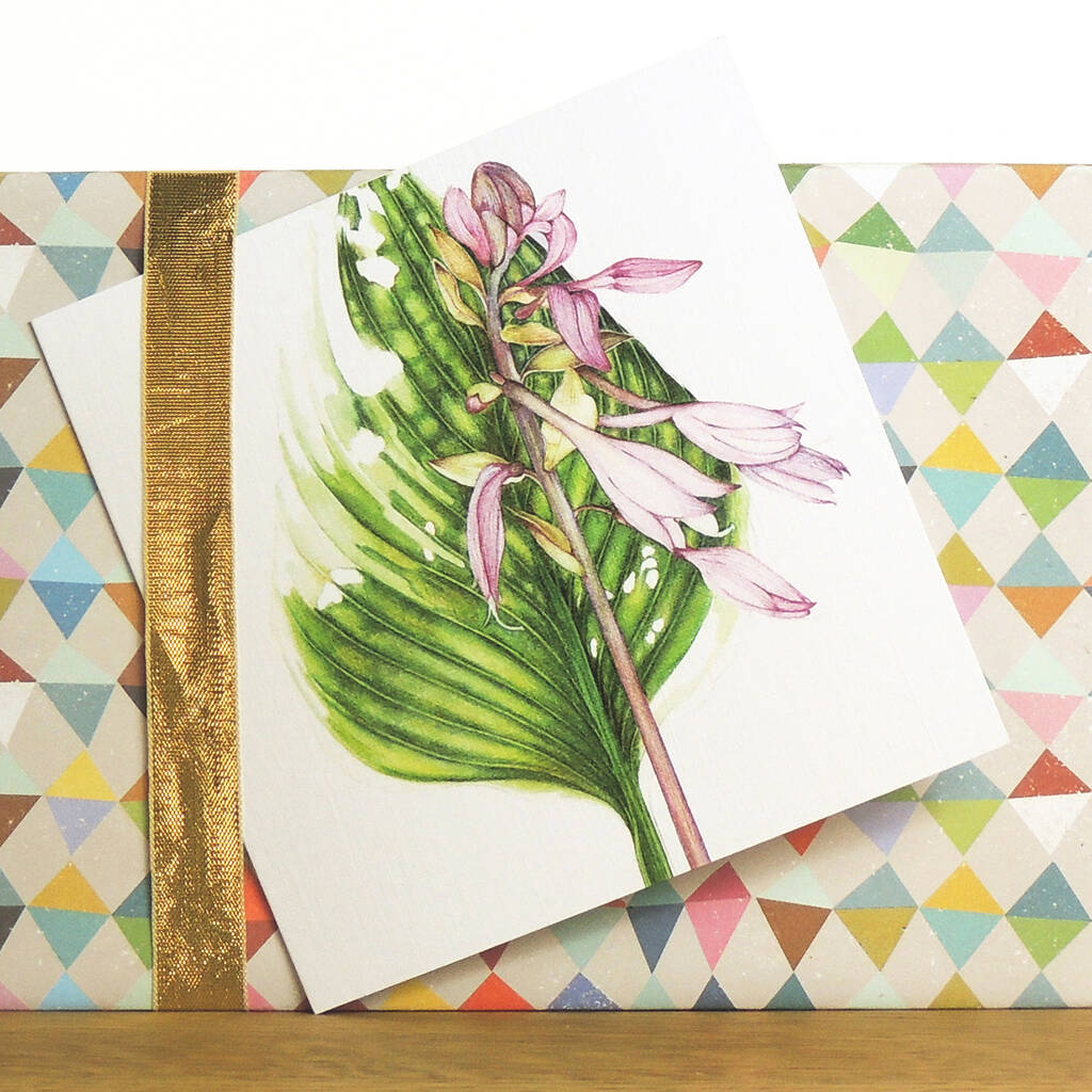 Hosta Greetings Card By Kali Stileman Publishing | notonthehighstreet.com