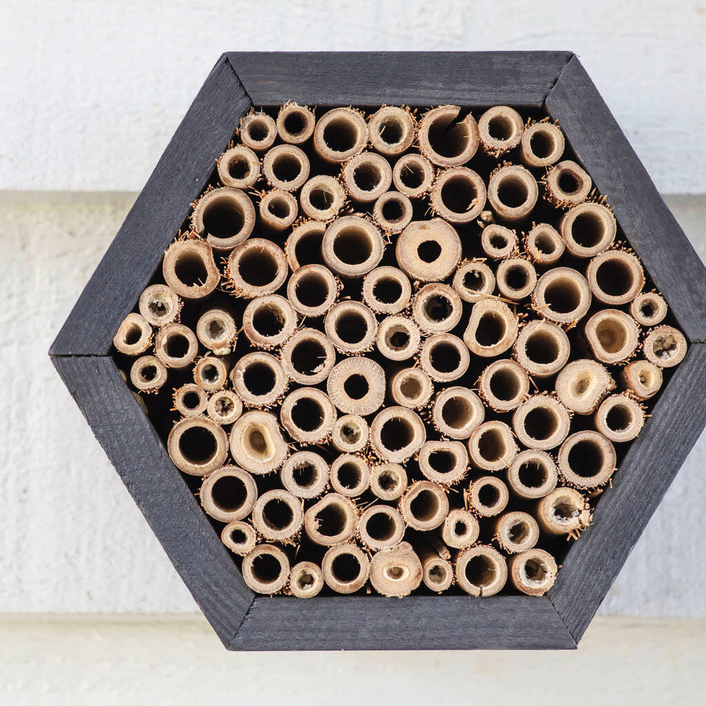 Shetland Hexagonal Bee House By Lisa Angel | notonthehighstreet.com