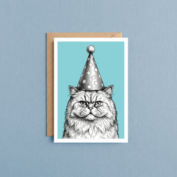 Pack Of Three Cat Birthday Cards By Violet Rae