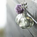 Mini Hanging Flower Glass Vases Set Of Five By The Danes ...
