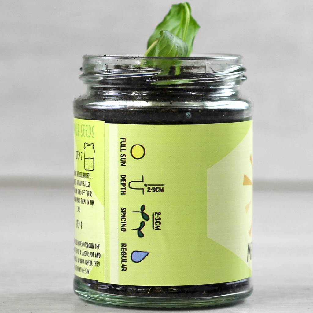 personalised bug eating plant grow kit by beecycle | notonthehighstreet.com