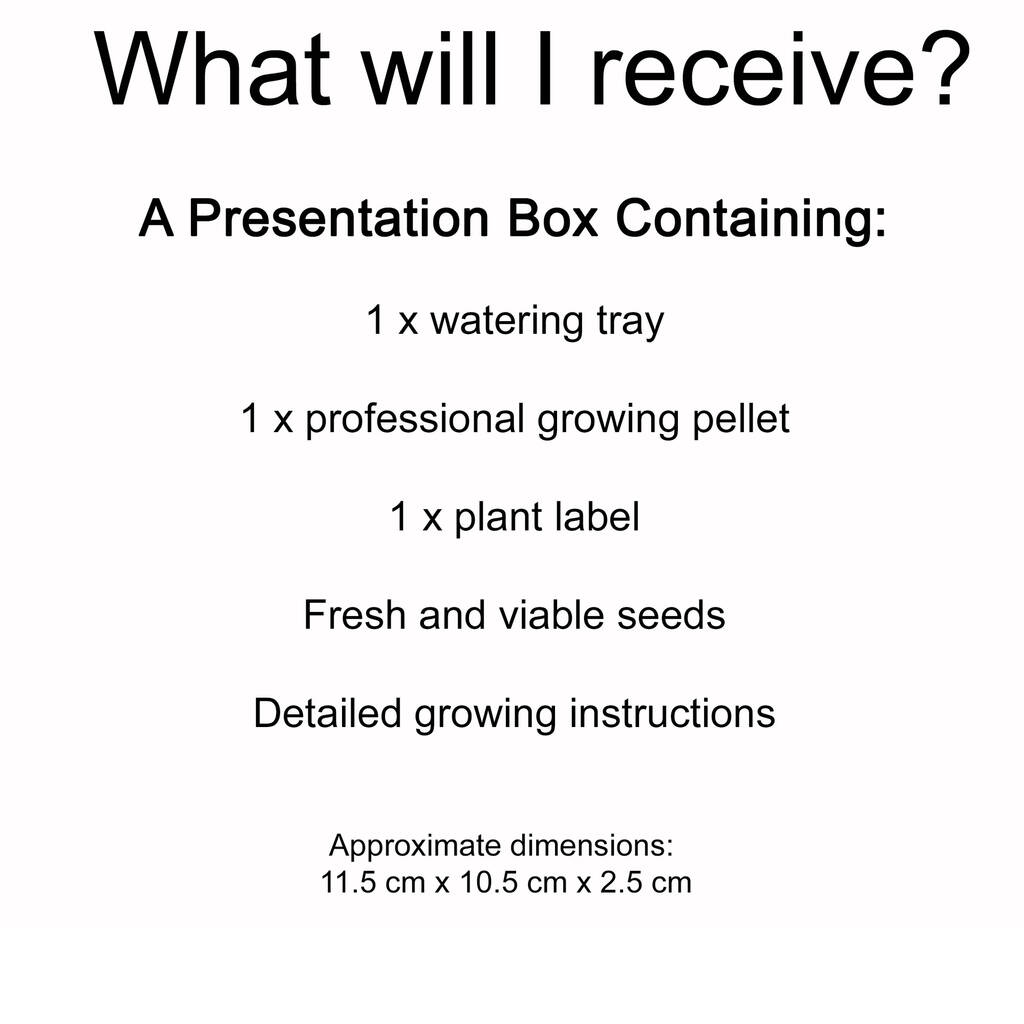 Gardening Gift. Sweet Pea Growing Kit By Grow Your Own Plants