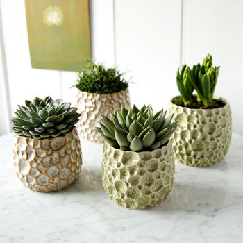 astro ceramic plant pot by clem & co | notonthehighstreet.com