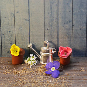 Sterling Silver 'Hidden Garden' Watering Can Pin By Lushchic x ...