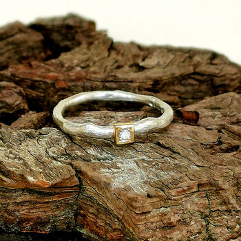 Sterling Silver And Gold Ring With Diamond By Anthony Blakeney ...