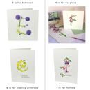 Botanical Flower Letter Cards By The Botanical Abc | notonthehighstreet.com
