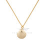Dainty 18 K Gold Filled Shell Clam Necklace By Elk & Bloom ...