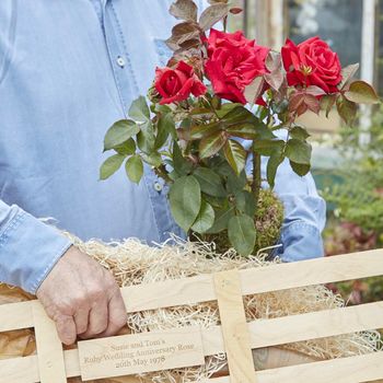 Personalised Ruby Wedding Anniversary Rose Gift By The Gluttonous ...
