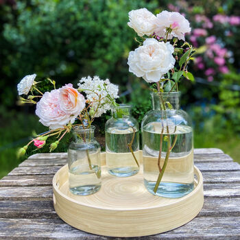 Botanical Bottle Vase Three Sizes By The Wedding of my Dreams ...