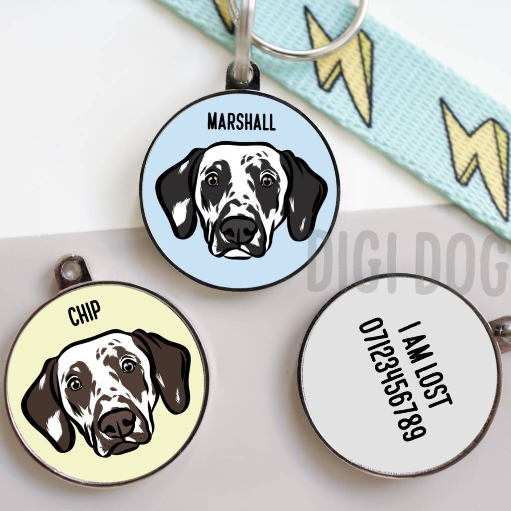 Dalmatian ID Tag By Digi Doggo | notonthehighstreet.com