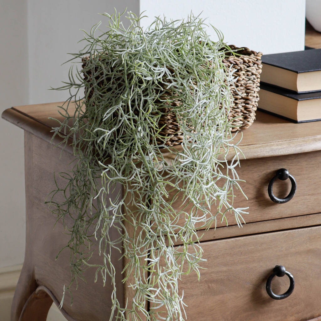 Faux Grey Wash Trailing Spanish Moss By Marquis & Dawe ...