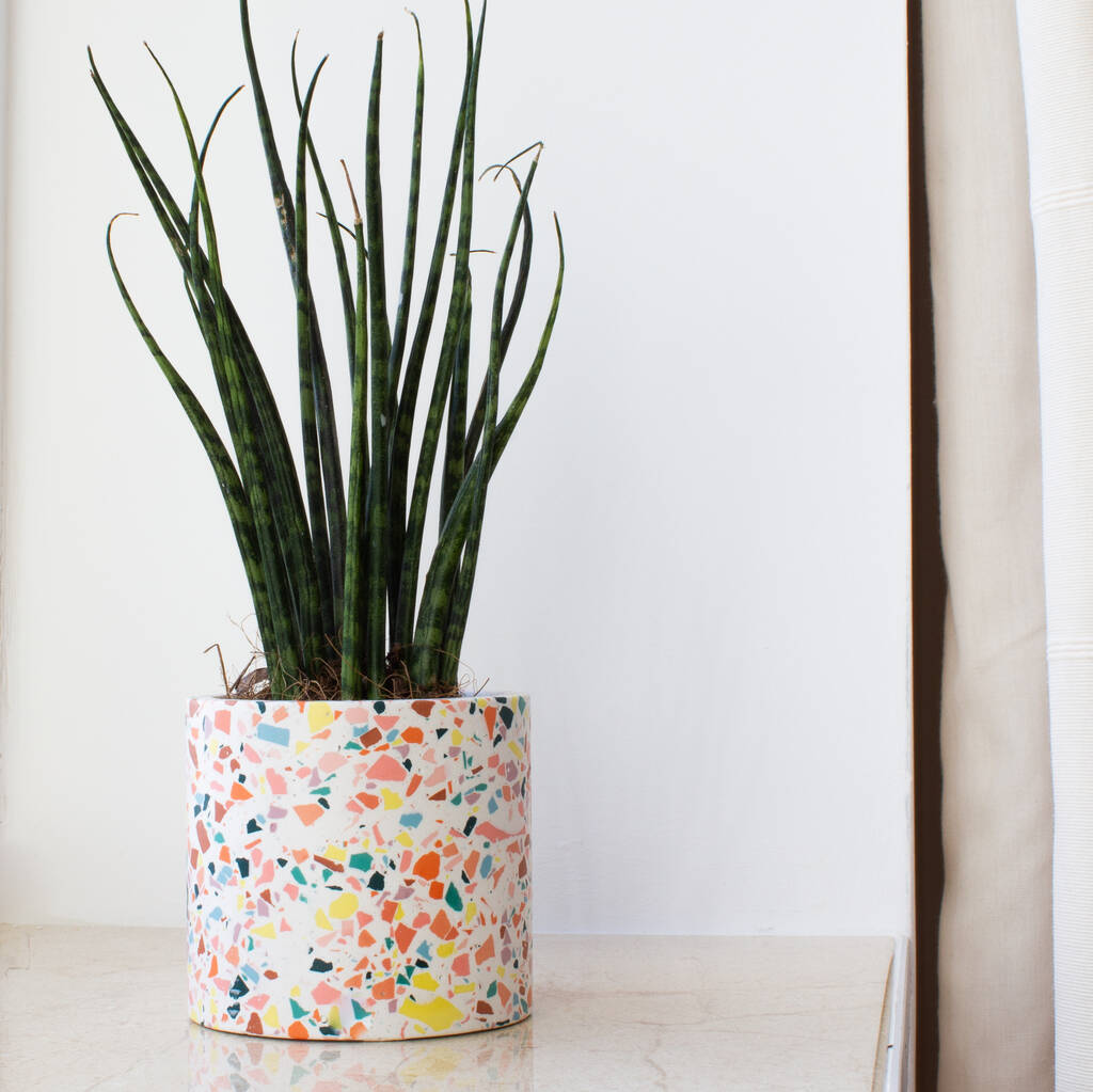 Rainbow Handmade Terrazzo Plant Pot By Slow Make Studio ...