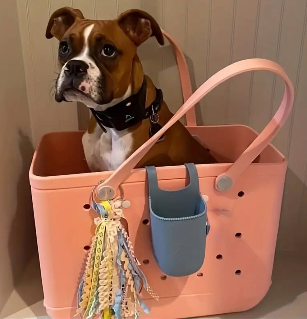 Summer’s Newest ‘It’ Croc Style, Personalised Charm Bag, Multipurpose ...