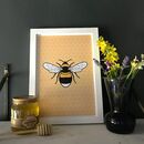 Bee Print By Tommy & Lottie | notonthehighstreet.com