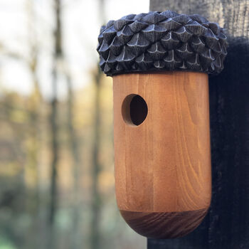 Acorn Bird House By Blackdown Lifestyle | notonthehighstreet.com