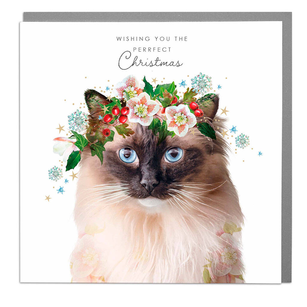 Happy Christmas Cat Card By Lola Design Ltd
