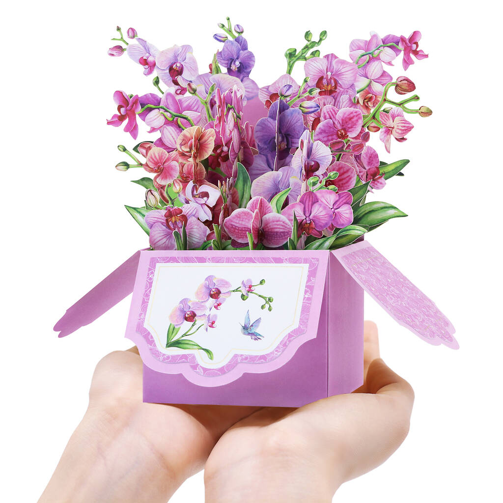 Orchid Florever Flower Box By My Design Co.