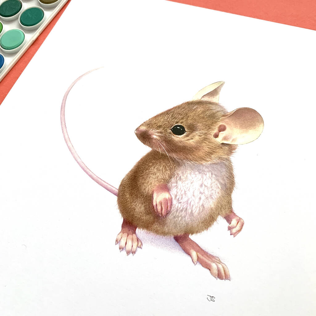 Illustrated Mouse Print By Little Blue Zebra | notonthehighstreet.com