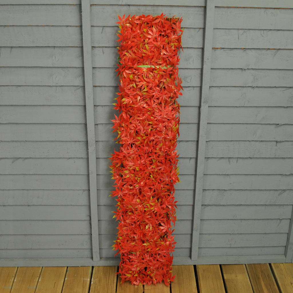 japanese red maple garden trellis screening by garden selections ...