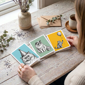 Pack Of Three Cat Birthday Cards By Violet Rae