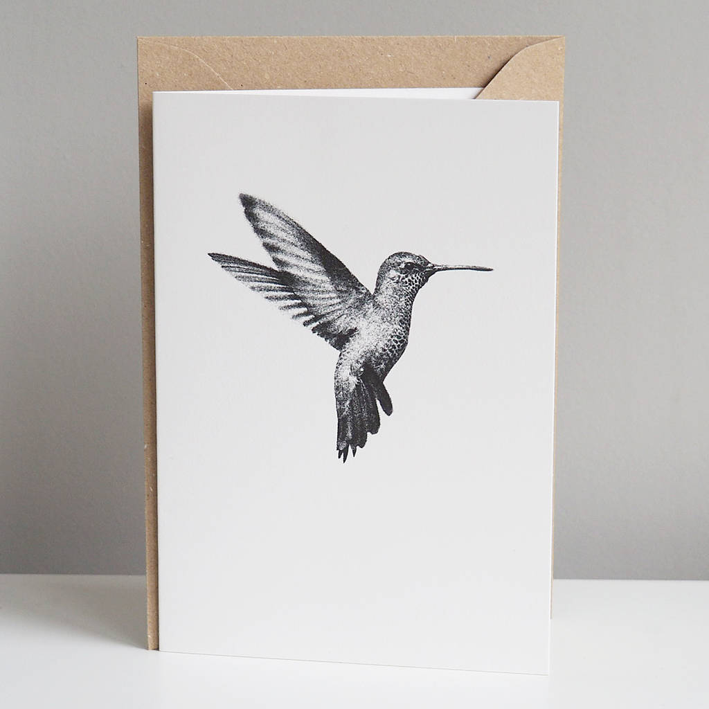 Encyclopaedic Hummingbird Card With Kraft Envelope By Mimi & Mae ...