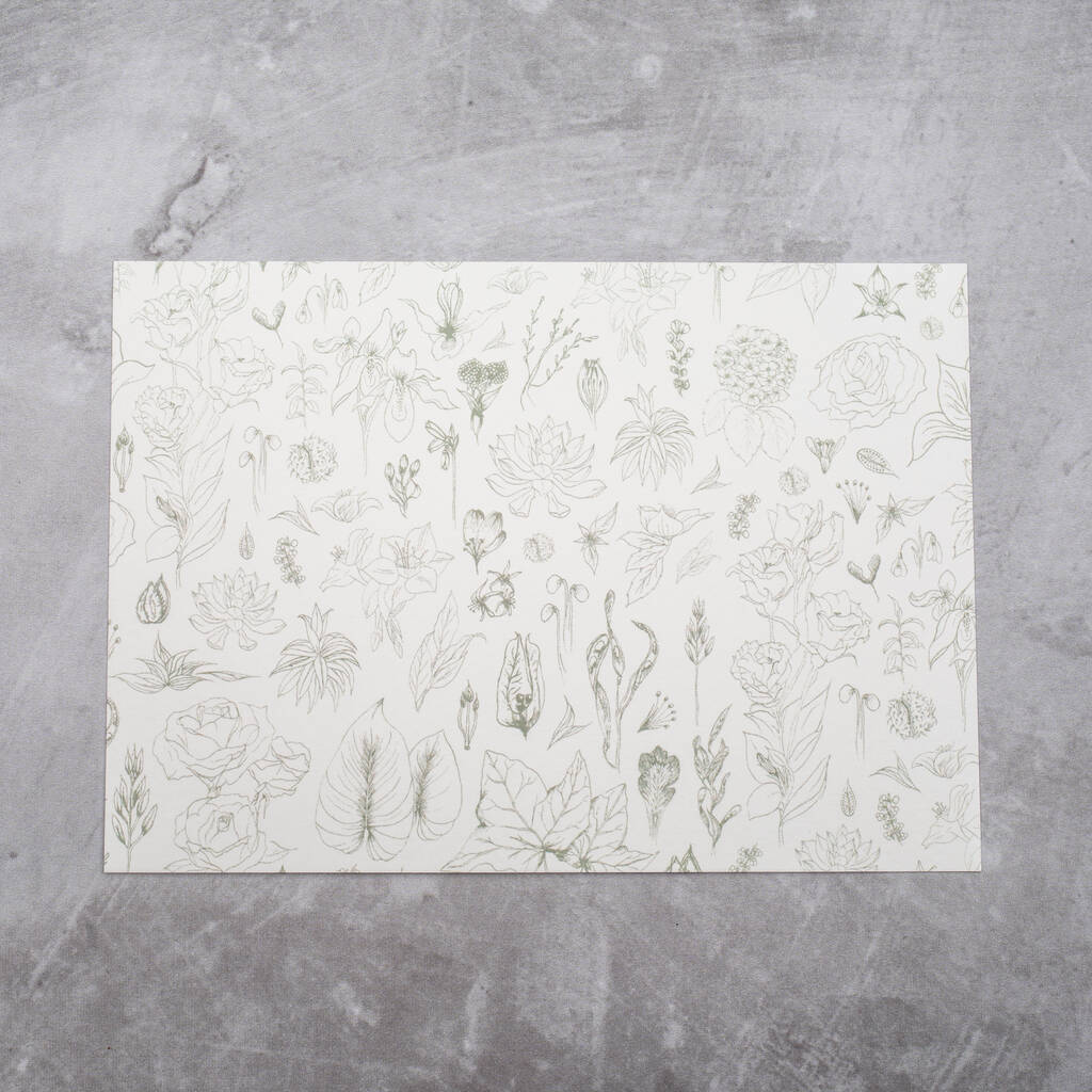 Tissue Wrapped Botanical Stationery Set By Sleepy Bee Studio ...