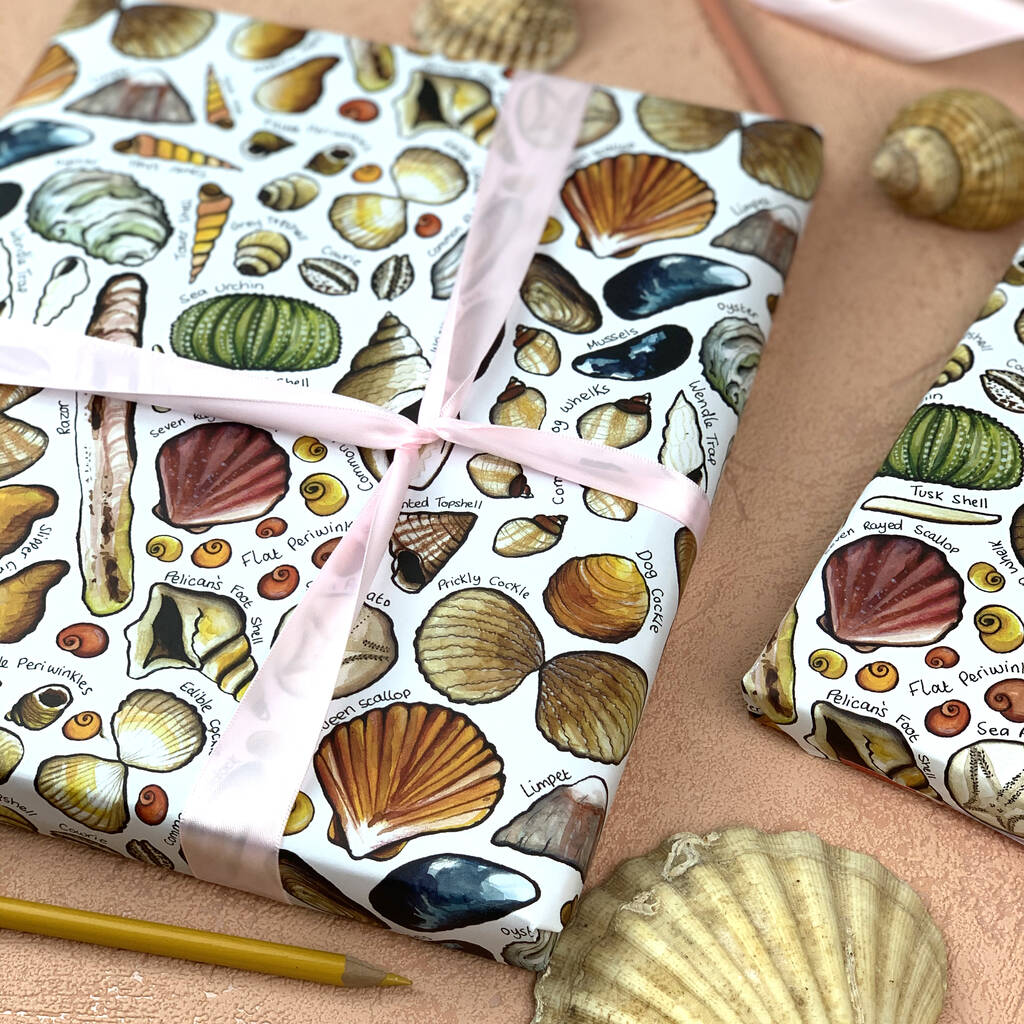 Seashells Of Britain Wrapping Paper Set By Alexia Claire ...