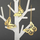 luxe gold perspex christmas butterflies by seahorse ...
