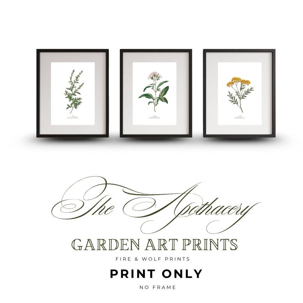 Set Of Six Vintage Botanical Art Prints | A4 Lithograph Style With ...