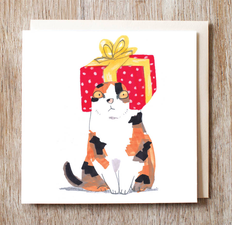 cat in gift box hat christmas card by jo clark design ...