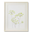fennel art print by eloise hall | notonthehighstreet.com