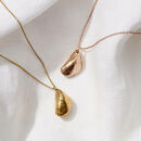 Personalised Single Mussel Shell Necklace By Posh Totty Designs ...