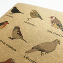 Garden Bird Notebook By Kate Broughton | notonthehighstreet.com