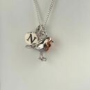 Personalised Robin Necklace In Silver And Rose Gold By Nest ...
