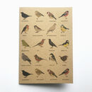 Garden Bird Notebook By Kate Broughton | notonthehighstreet.com