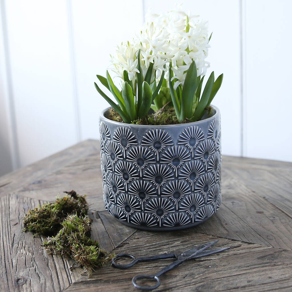 Grey Fan Plant Pot By Clem & Co | notonthehighstreet.com