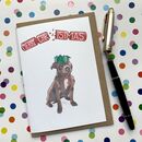 Grey Schnauzer Cracker Christmas Card By Have A Gander ...