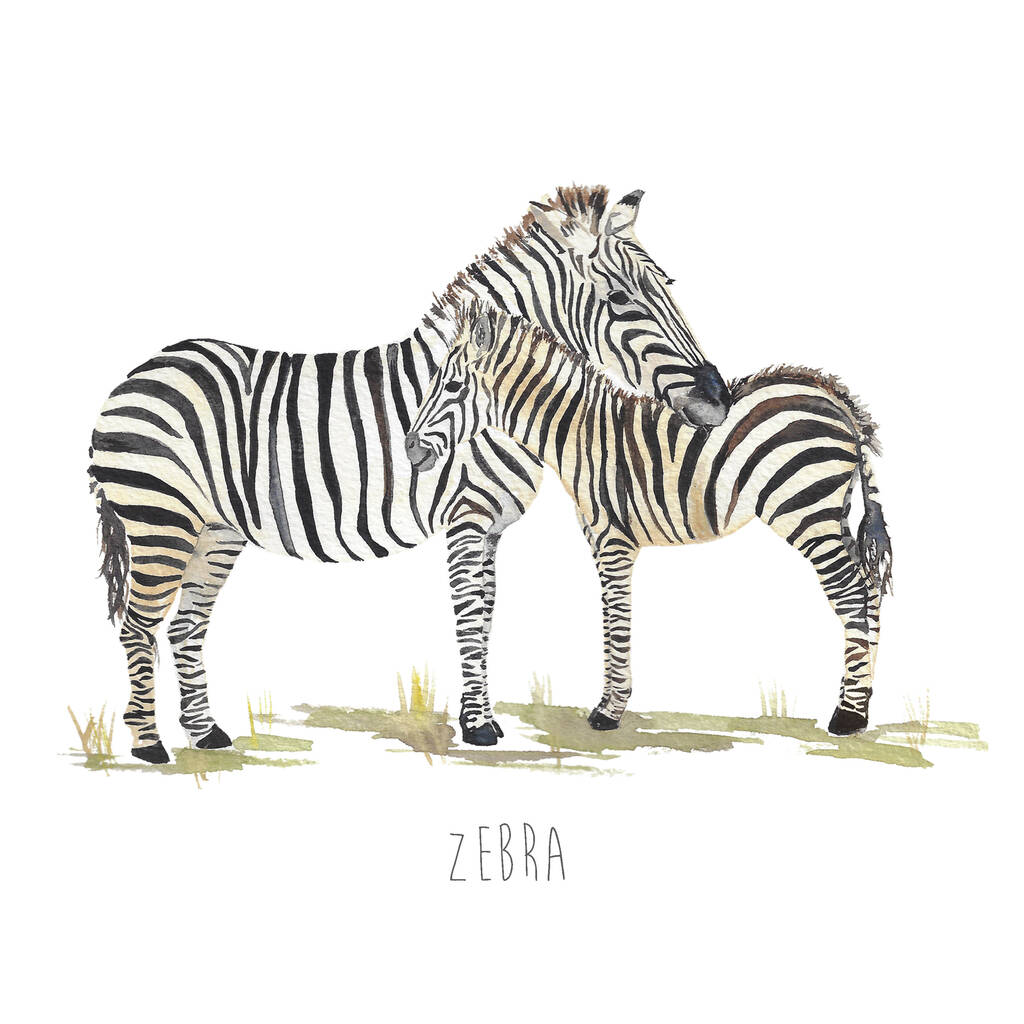Zebra Designer
