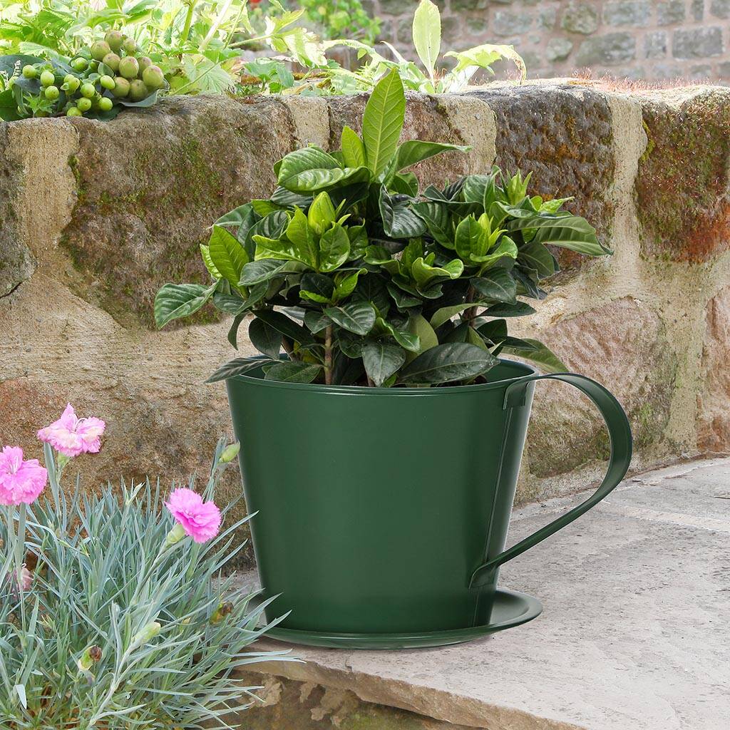 Emerald Green Garden Tea Cup Planter By Dibor | notonthehighstreet.com