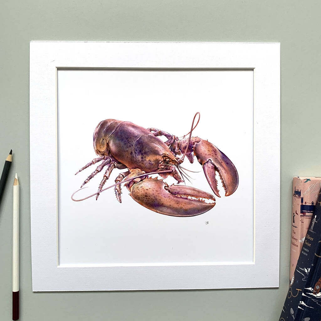 Illustrated Lobster Print By Little Blue Zebra | notonthehighstreet.com