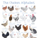 The Chicken Alphabet Art Print, Hen A Z Art Print By Rebekah Marshall ...