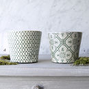 Green Patterned Plant Pot With Bulbs By Clem & Co | notonthehighstreet.com