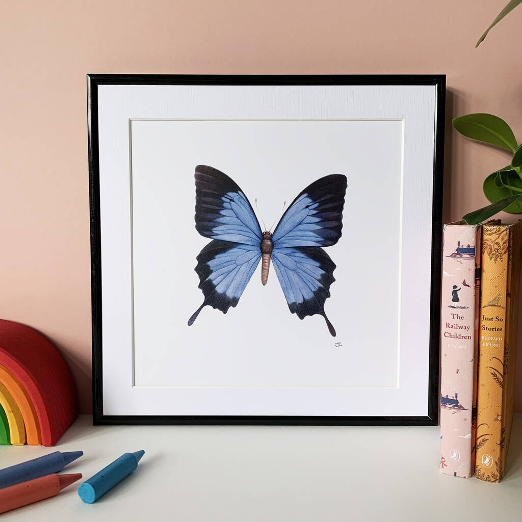 Illustrated Butterfly Print By Little Blue Zebra | notonthehighstreet.com