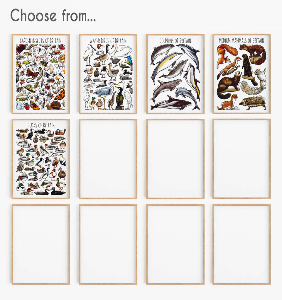 British Wildlife Set Of Six Art Prints By Alexia Claire ...