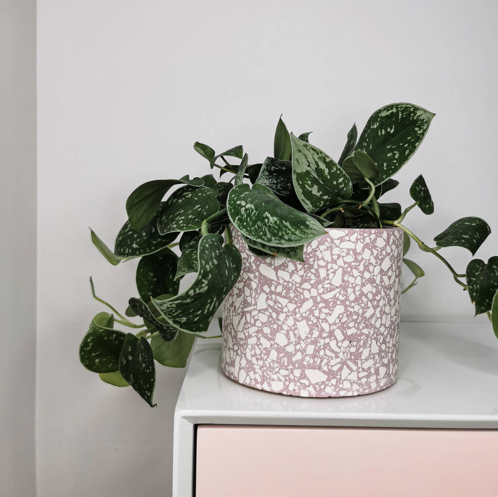 Handmade Terrazzo Plant Pot, Eight Colour Options By Slow Make Studio ...