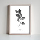 Personalised Eucalyptus Monoprint Fine Art Print By Print Nineteen ...