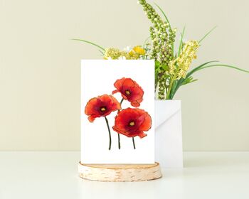 Illustrated Poppy Greeting Card By Colour Me Fun | notonthehighstreet.com