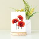 Illustrated Poppy Greeting Card By Colour Me Fun | notonthehighstreet.com